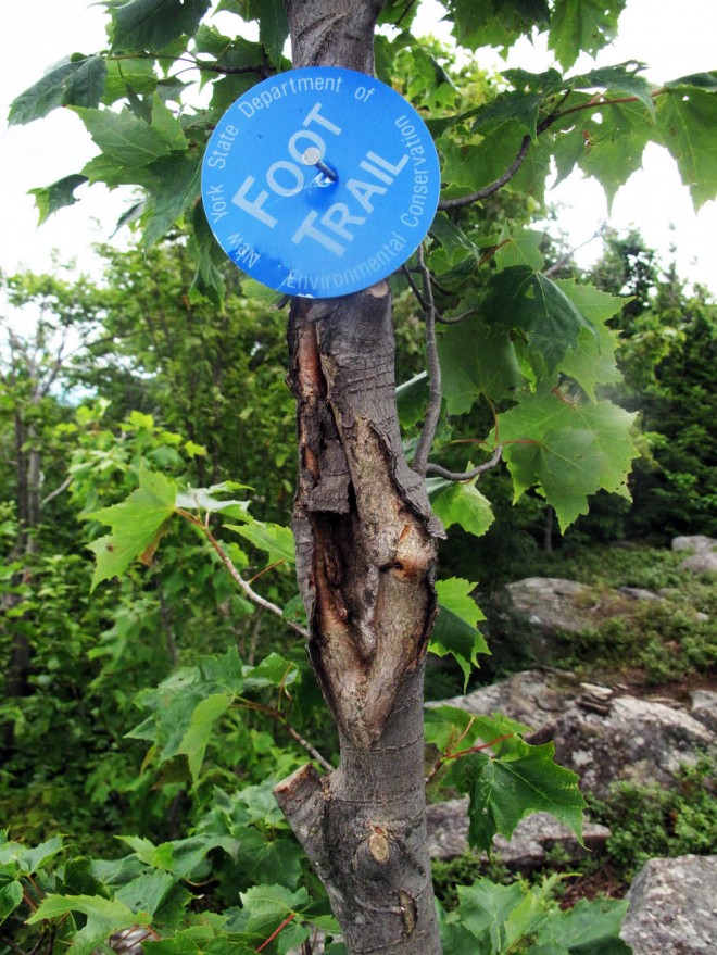 Hiking the Newest Section of the Long Path in the Catskills - | My Harriman