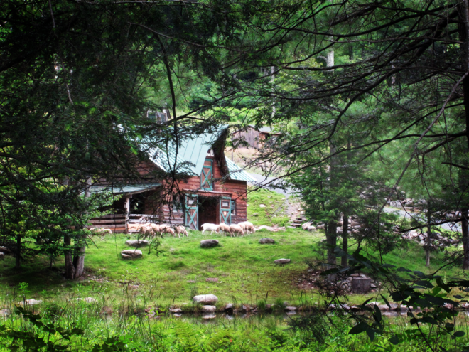 Hiking the Newest Section of the Long Path in the Catskills - | My Harriman
